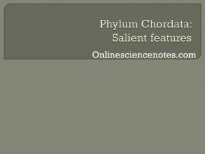 General characteristic features of superclass Pisces (Fish) - Online ...