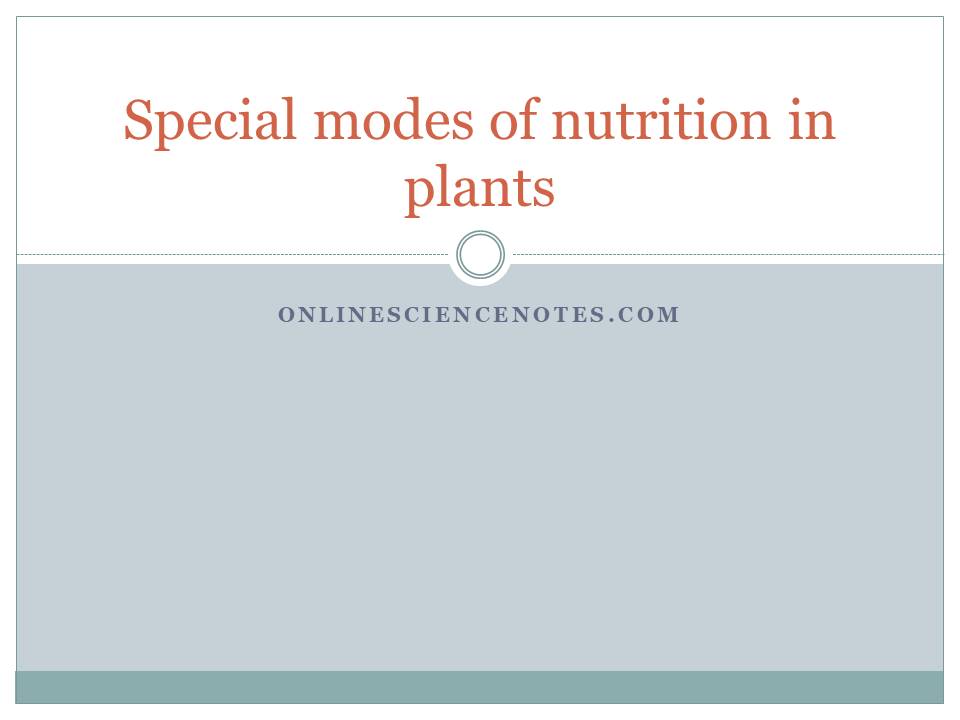 Special modes of nutrition in plants - Online Science Notes