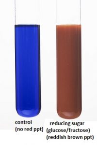 Fehling’s test (Principle, reagents and materials required, procedure ...