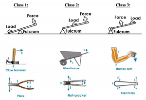 Types of simple Machine - Online Science Notes