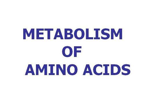 Trans-deamination (Metabolism of amino acids) and transport of ammonia ...