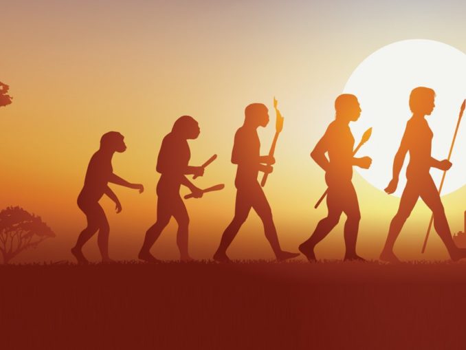 evolution of man Archives - Online Science Notes